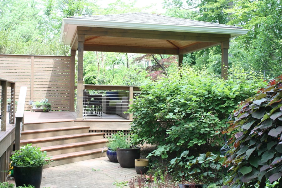 How Lawn Maintenance Can Help Prevent Bugs in Your Outdoor Space